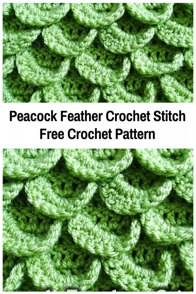 Peacock Feather Crochet Stitch -[Free Pattern + Video Tutorial]