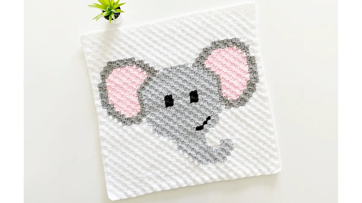 C2C Elephant Square